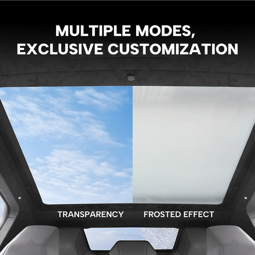 Cybertruck Ludicrous Speed Roof SunShade Ambient Lighting – EzBuyCo